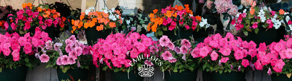 Ultimate Guide to Fresh Flowers Near Me