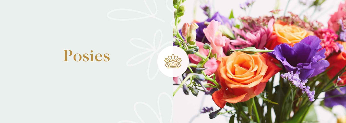 Shop Posies | Fabulous Flowers and Gifts