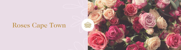 Shop Roses Cape Town | Fabulous Flowers & Gifts
