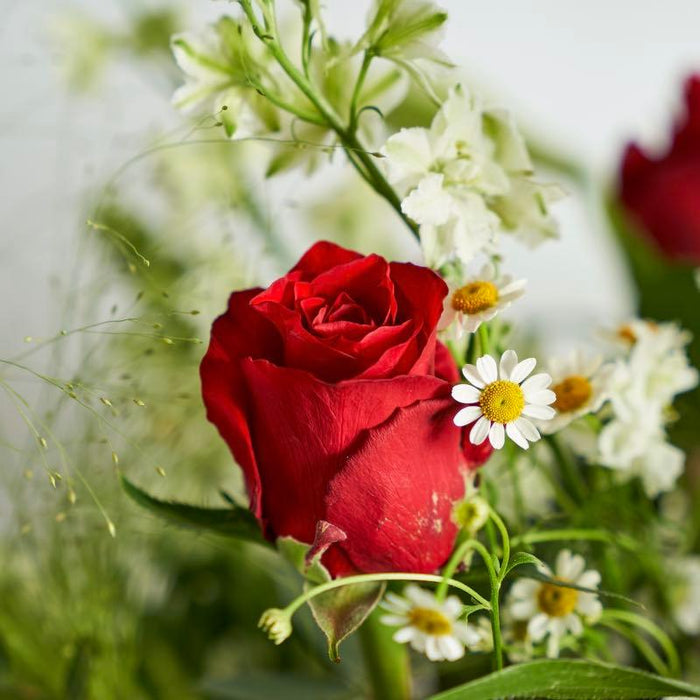Shop Red Roses for Sale | Fabulous Flowers & Gifts